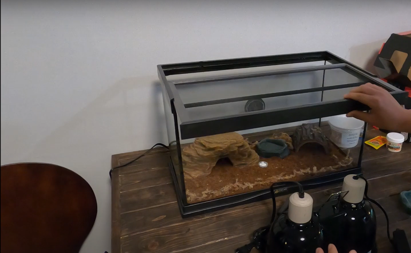 Top 5 Best Leopard Gecko Starter Kits [January 2025 Review] - ReptileProfy