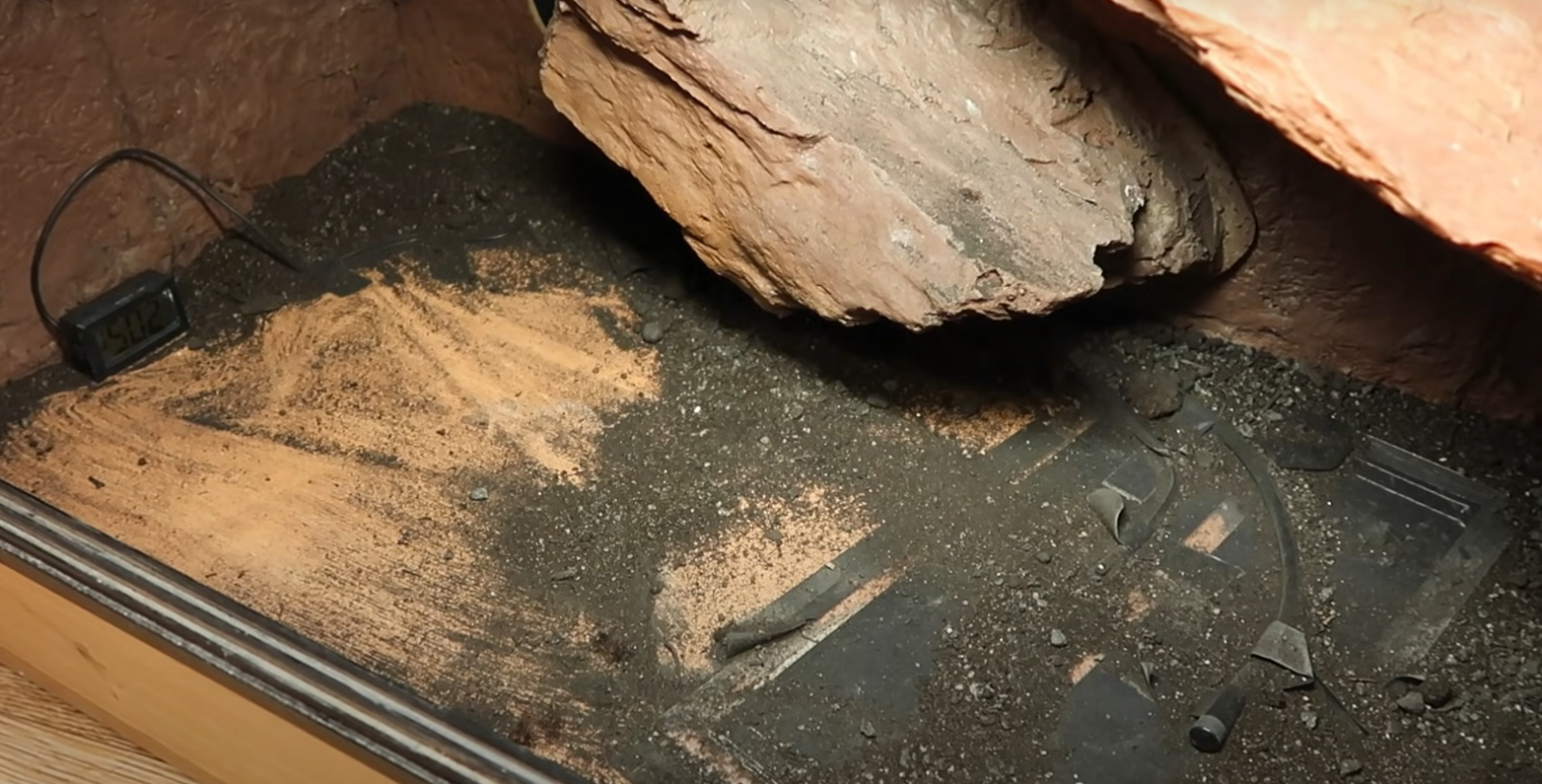 Top 5 Best Leopard Gecko Starter Kits [January 2025 Review] - ReptileProfy