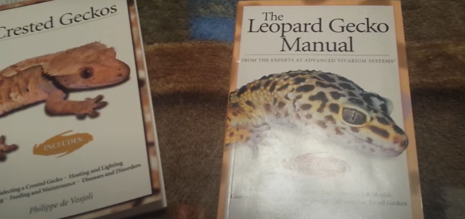 Top 5 Best Leopard Gecko Books [February 2025 Review] - ReptileProfy