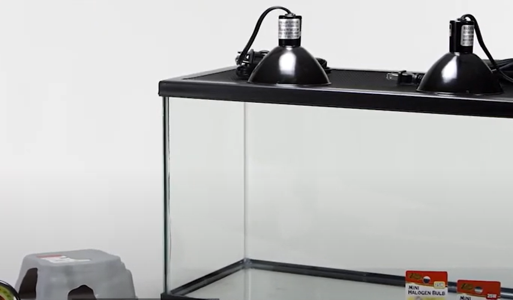 Zilla Basic Desert Kit Review in March 2025 - ReptileProfy