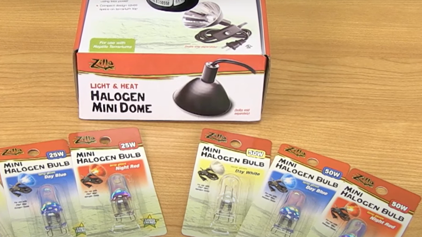 Zilla Mini Halogen Bulb Review in September 2025- ReptileProfy